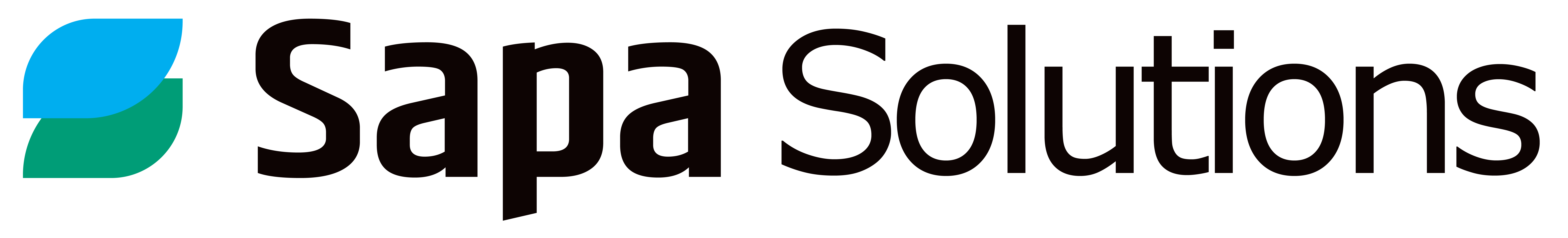 Sapa Solutions - Financial Solutions Guide